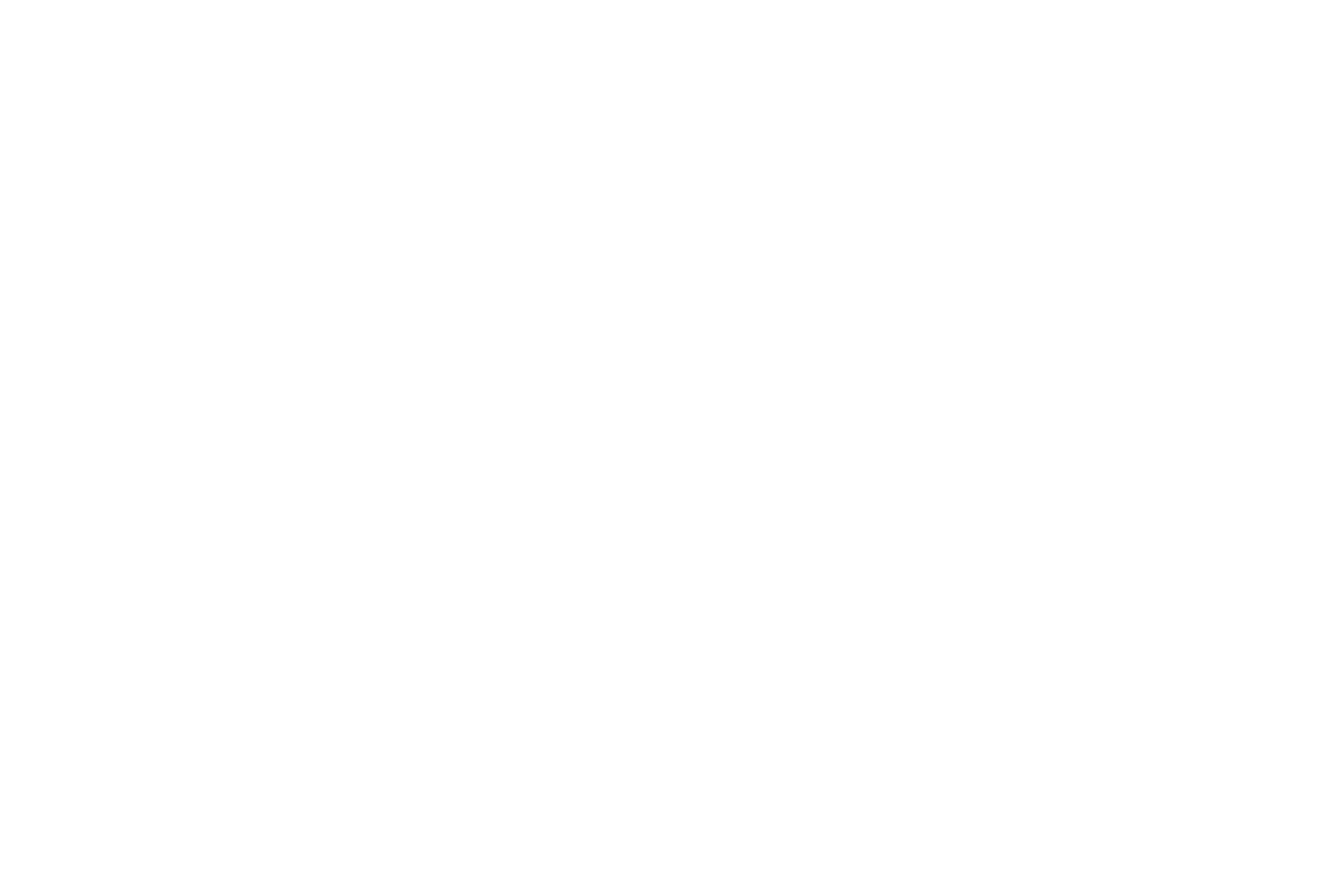 Licht | Bolz1946
